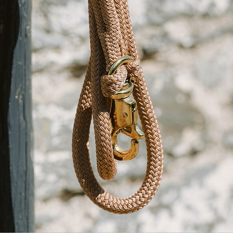 Synthetic Leather Hybrid Halter – The Horse Education Company