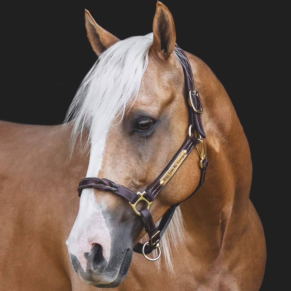 Twist Nose Halter - Sale Horse Halter – HEC Horse Education Company