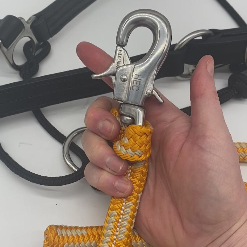 Ultimate Lead Rope Snap – The Horse Education Company