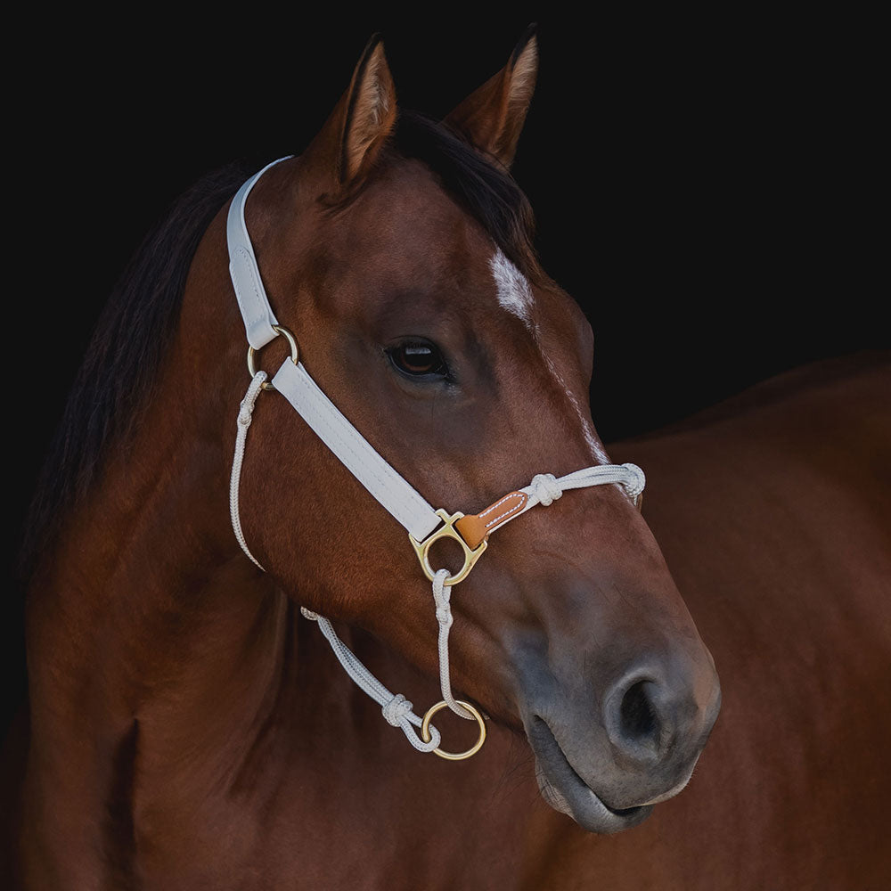Synthetic Leather Hybrid Halter – The Horse Education Company