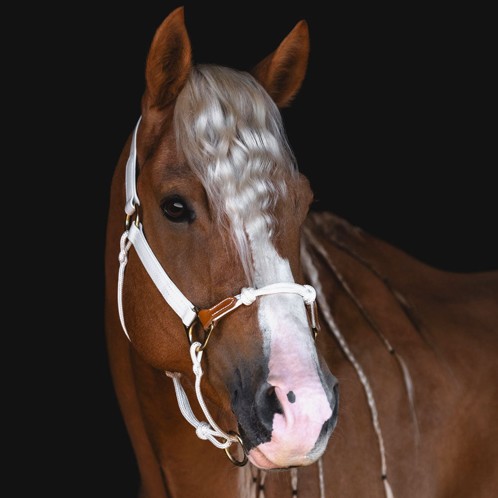 Synthetic Leather Hybrid Halter – The Horse Education Company
