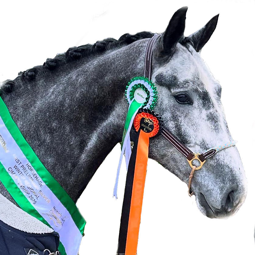 Wide Nose Hybrid Halter KNOTLESS – The Horse Education Company