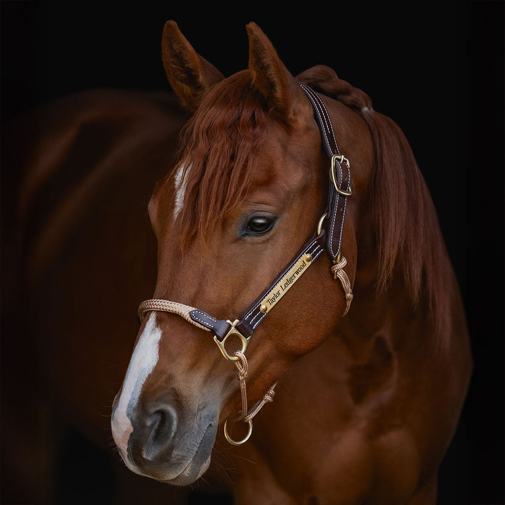 Wide Nose Hybrid Halter KNOTLESS – HEC Horse Education Company