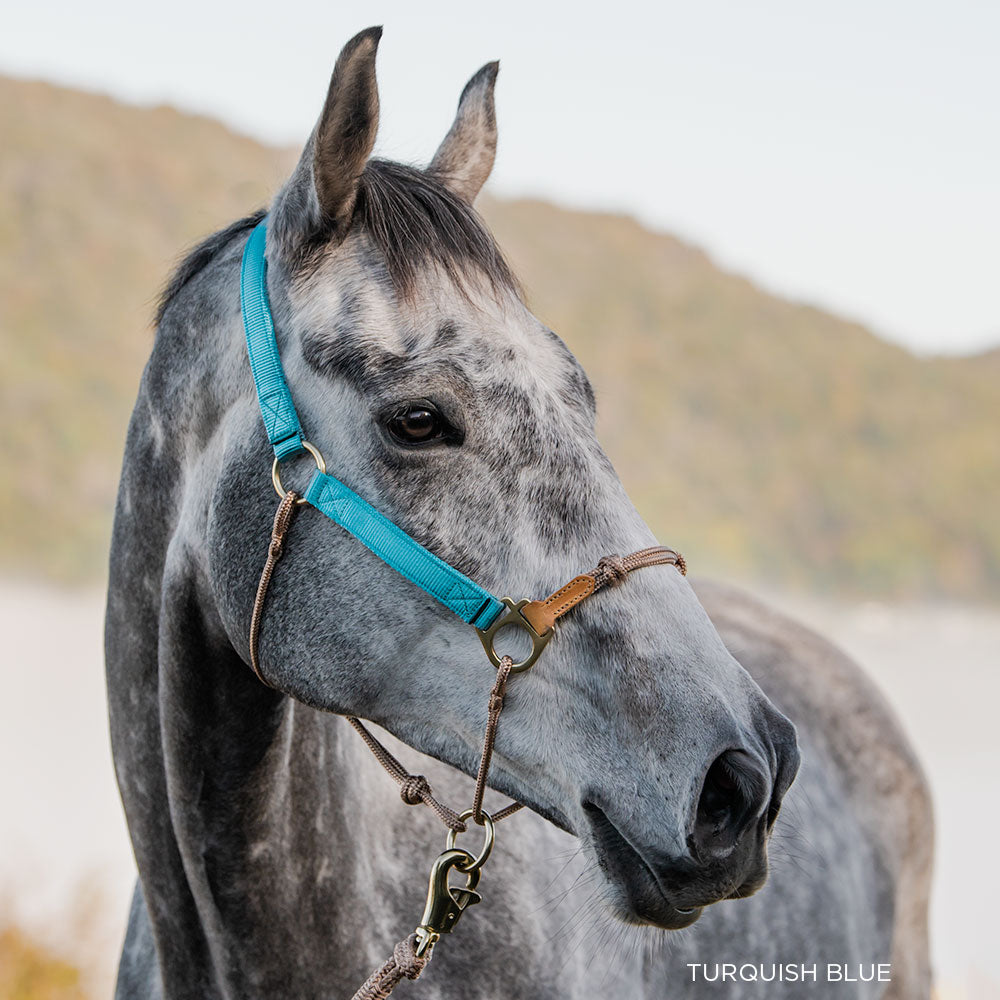 Classic Nylon Hybrid Halter® – HEC Horse Education Company
